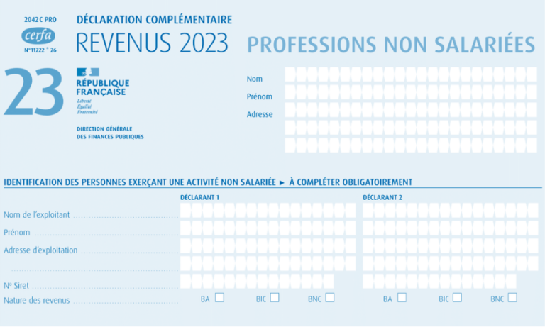 2042 C PRO : comment remplir cette déclaration en 2024