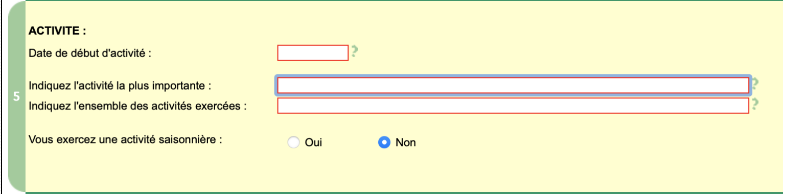 Remplir le formulaire du CFE : le tuto pas à pas - Démarches - Indy