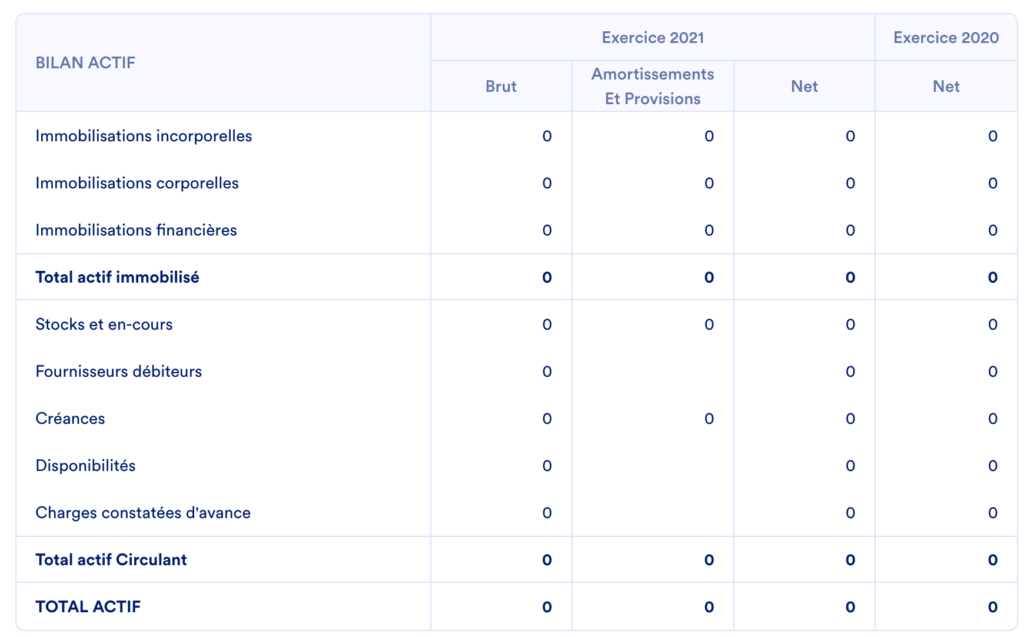 Le Bilan Comptable en SASU : comment ça marche