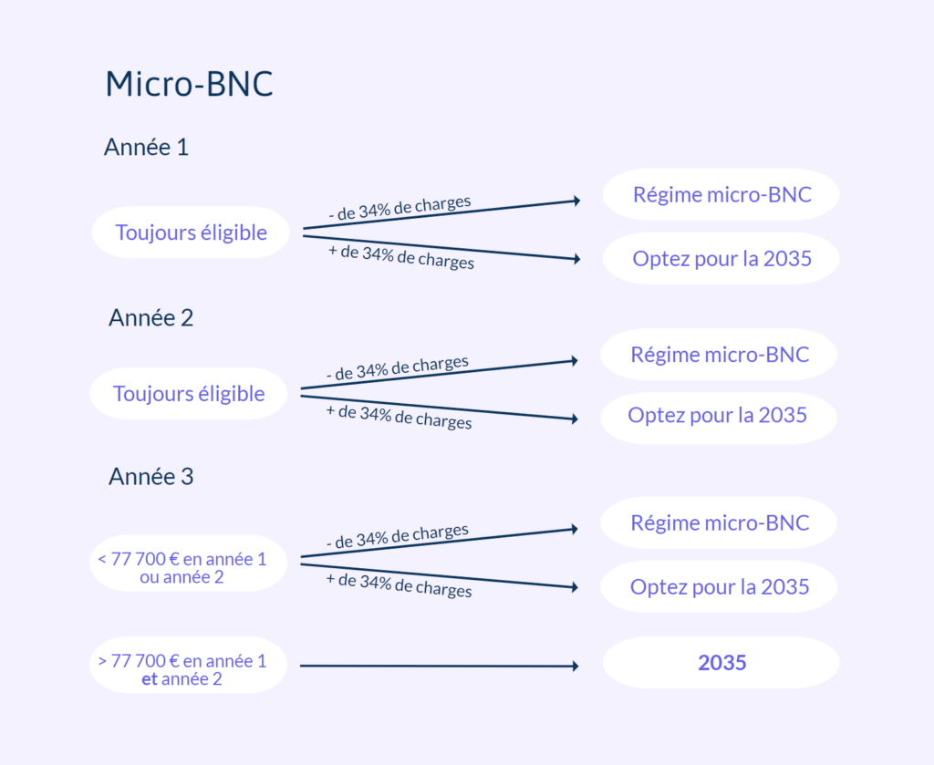 Régime Micro BNC : Première Année d'Exercice ? | Le Blog d'Indy