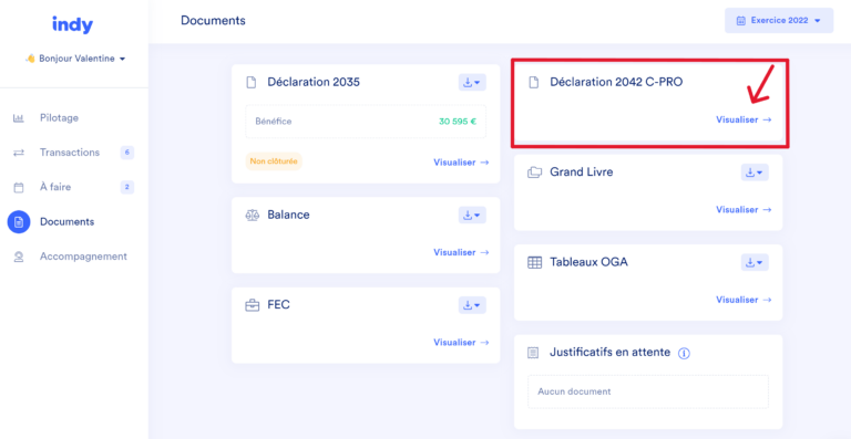 Impôts sur le Revenu : Remplir la Déclaration 2042 C PRO en 2023