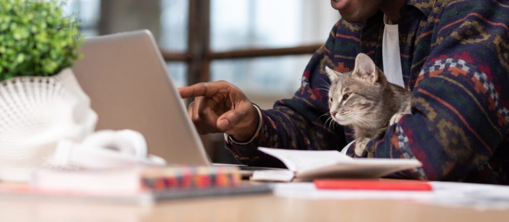 Comptabilité générale : définition et fonctionnement